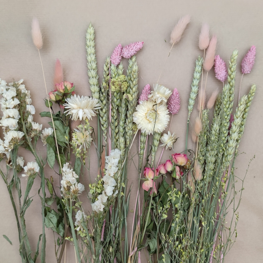 Our Gallery | The Garden of Oxford | Oxford | Oxfordshire