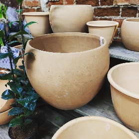 Plant Pots | The Garden of Oxford | Oxford | Oxfordshire