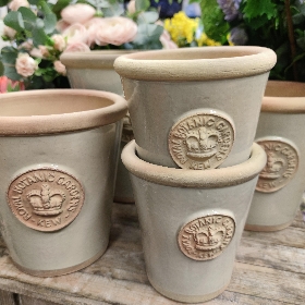 Specialising in English grown and country style flowers with English ...